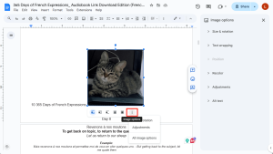 How to Add Image to PDF for Free | 5 Ways
